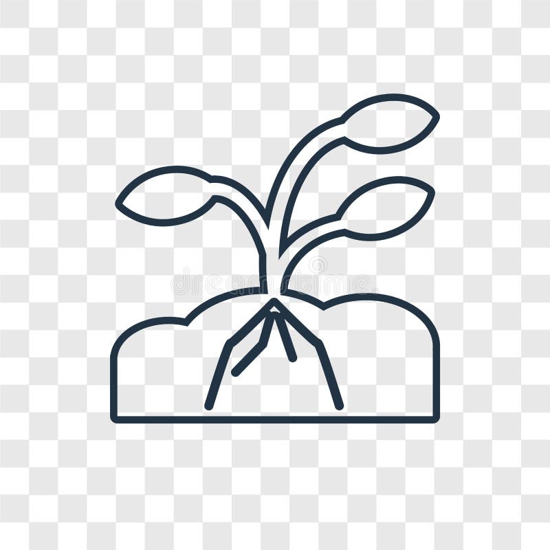 Sprout Concept Vector Linear Icon Isolated on Transparent Background ...