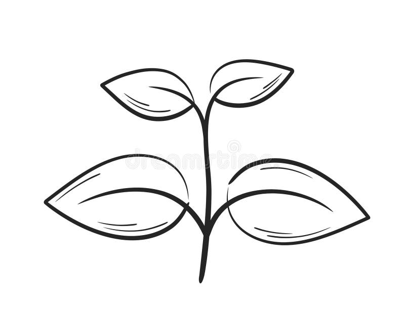 Sprout with Four Leaves Line Illustration. Spring, Planting and Nature ...