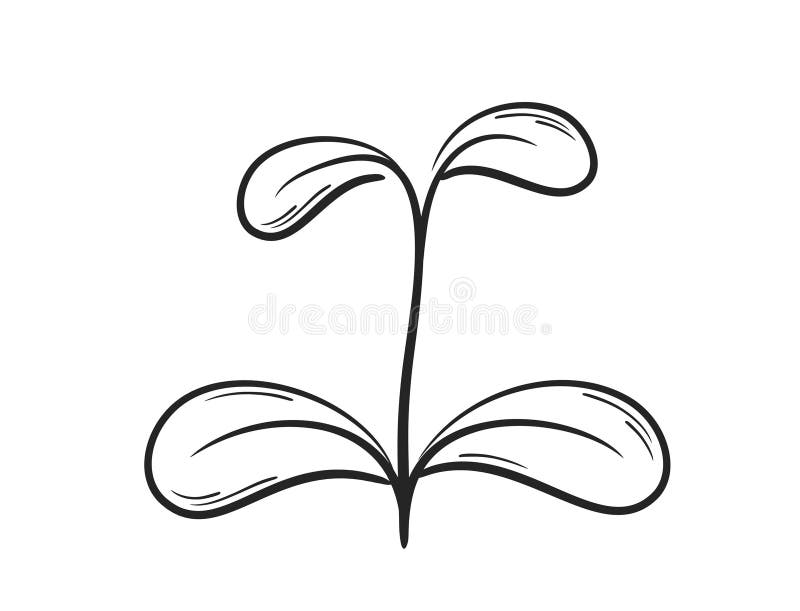 Sprout with Four Leaves Line Illustration. Spring, Planting and Nature ...