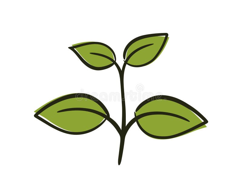 Sprout with Four Leaves. Spring, Planting and Nature Design Element ...