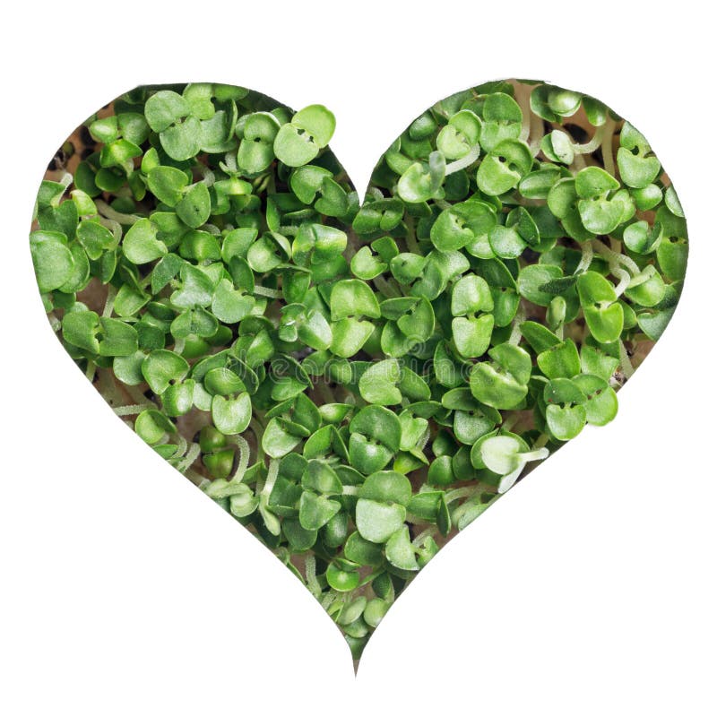 457 Heart Shape Sprout Stock Photos - Free & Royalty-Free Stock Photos ...