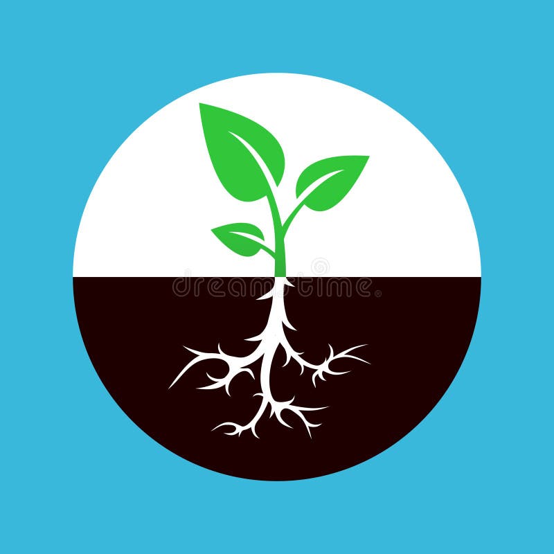 Sprout with root icon stock vector. Illustration of plant - 113929429