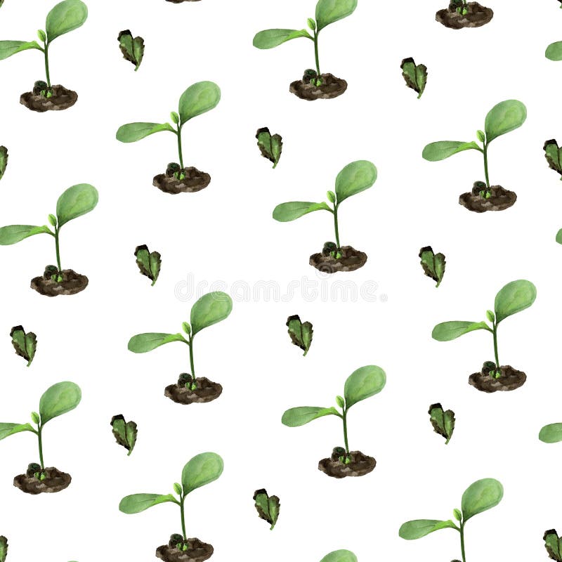 Sprout in the Ground Watercolor Illustration Stock Illustration ...