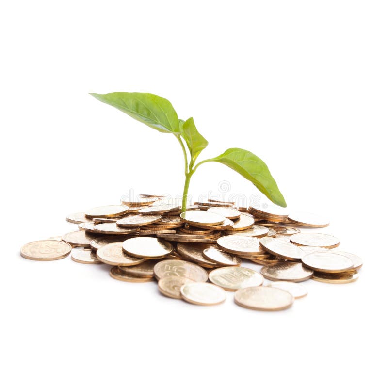 Sprout Growing on Gold Coins Stock Image - Image of coin, loan: 54244303