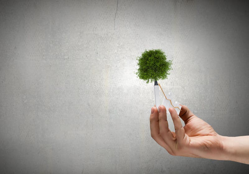 Sprout in hand stock photo. Image of heap, growth, hand - 46382192