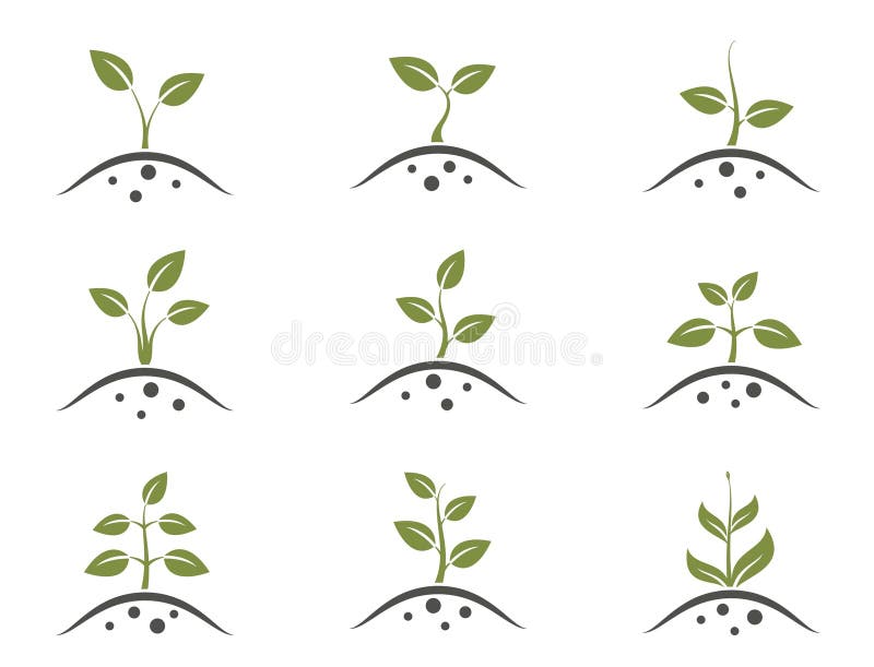 Sprout Icon Set. Spring, Planting and Growing Symbols. Vector ...