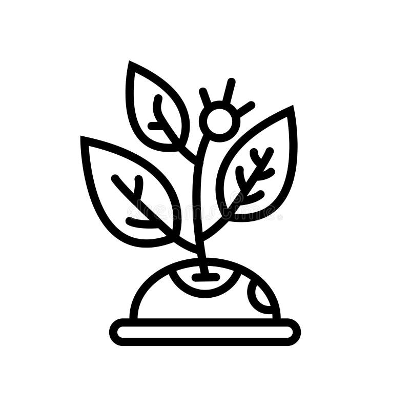 Sprout Icon Vector Isolated on White Background, Sprout Sign , Line or ...