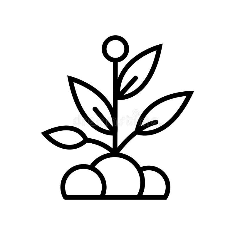 Sprout Linear Icon. Modern Outline Sprout Logo Concept on White Stock ...