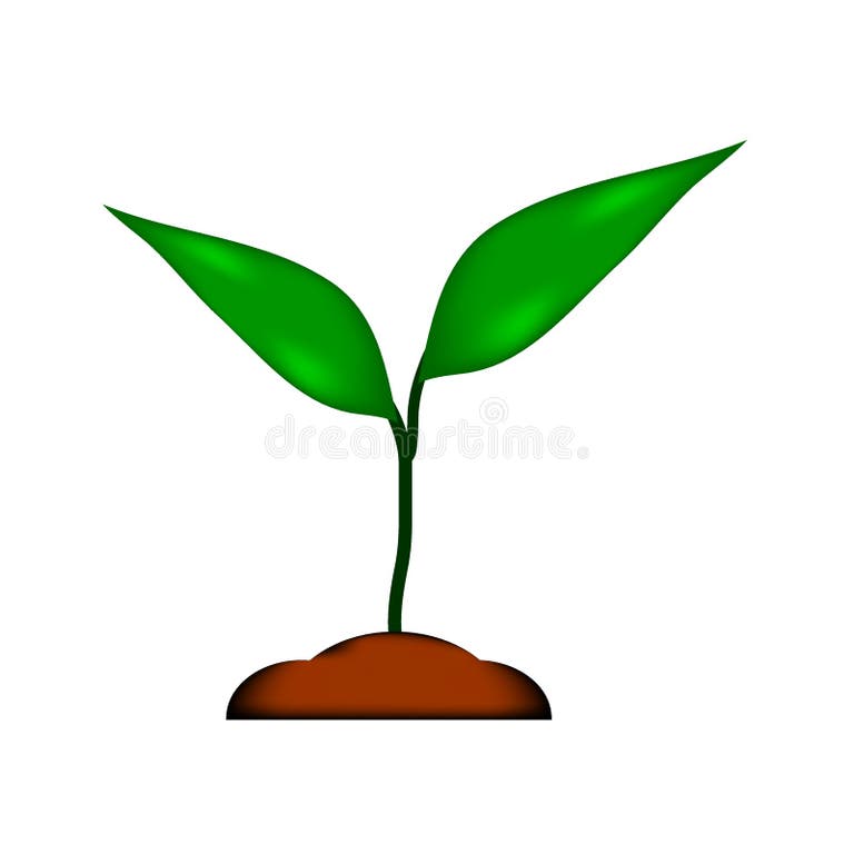 Sprout icon on white. stock illustration. Illustration of nature ...
