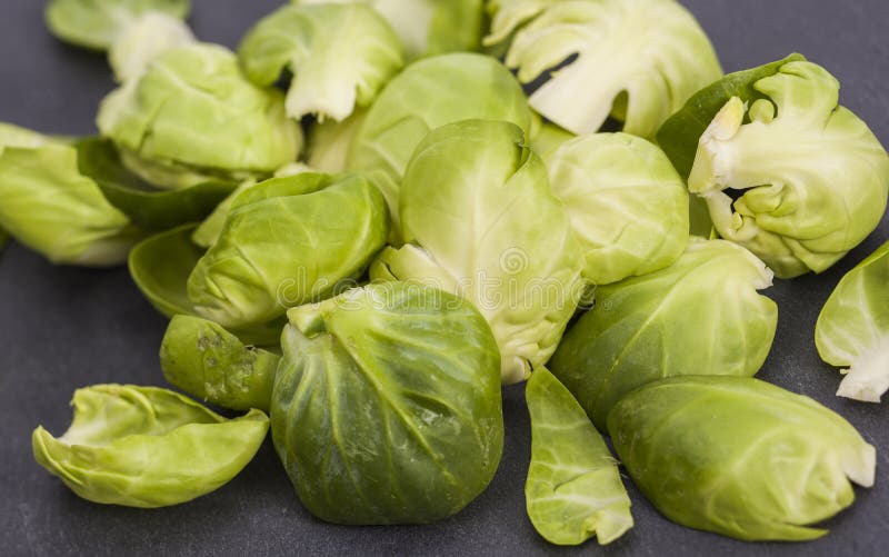 Sprout leaves stock image. Image of leaves, shreds, grey - 37164579