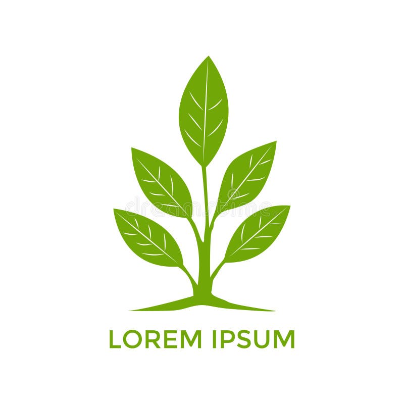 Sprout Logo Isolated White Background. Vector Illustration Stock Vector ...