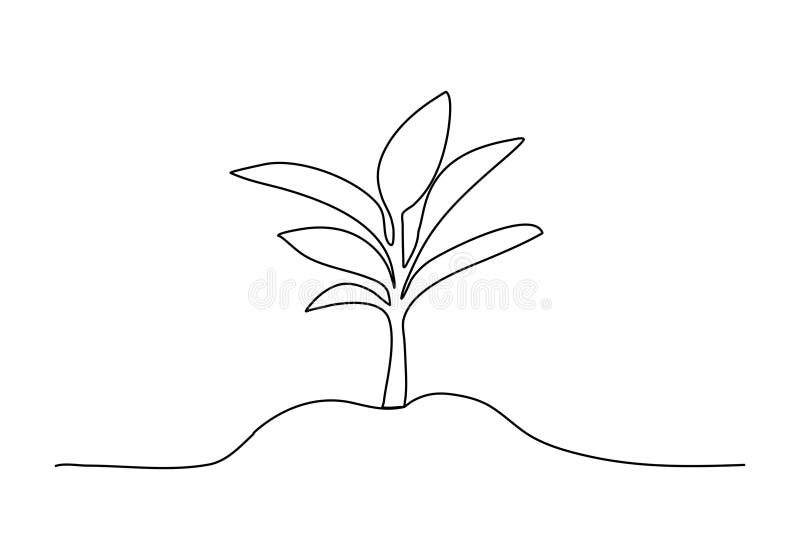 Sprout, One Line Drawing Vector Illustration Stock Vector ...