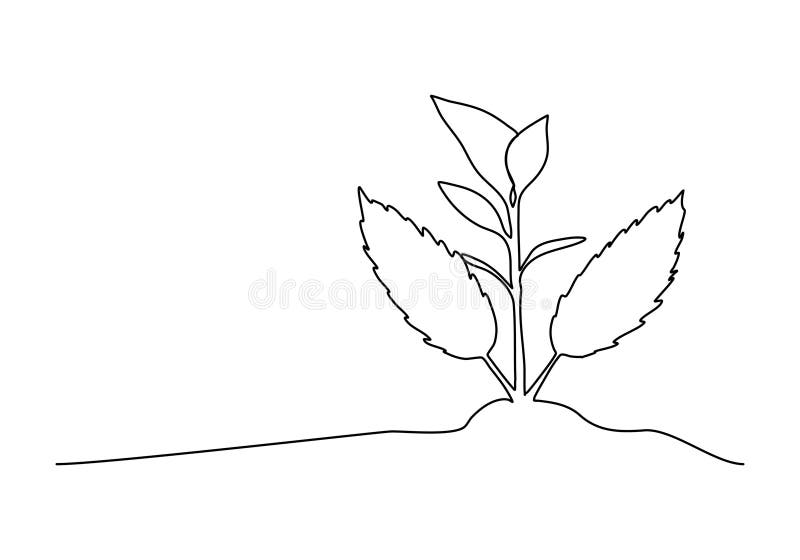 Sprout, One Line Drawing Vector Illustration Stock Vector ...