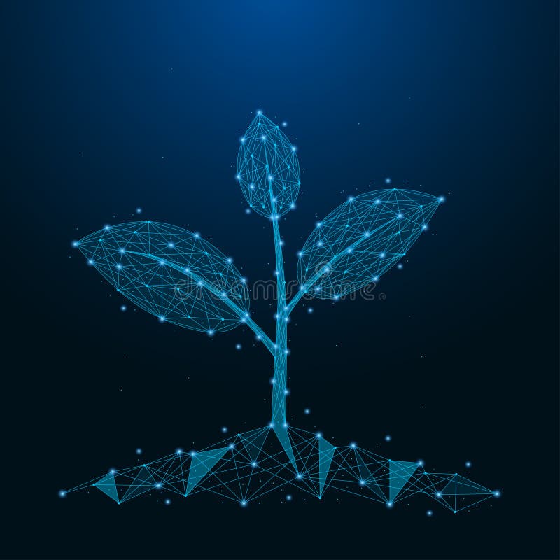 Sprout of Plant Made by Points and Lines. Low Poly Blue Seedling ...