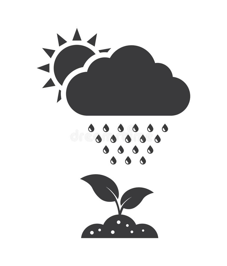 Sprout Plant Under Sun and Cloud Stock Vector - Illustration of leaf ...
