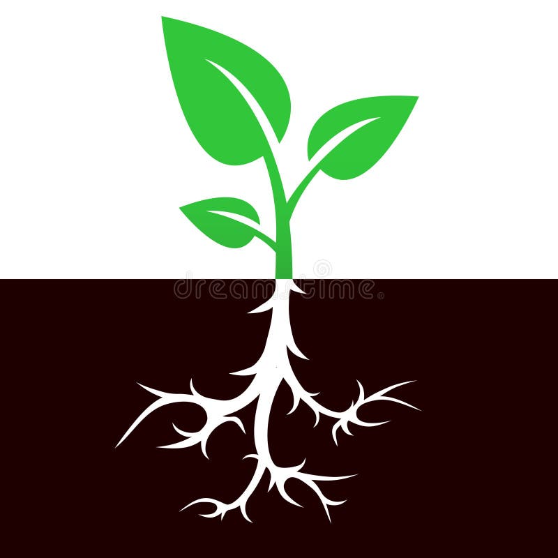 Sprout with Root Vector Icon Design Stock Vector - Illustration of ...
