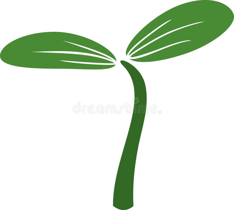 Sprout with Two Green Leaves Stock Vector - Illustration of leaf ...