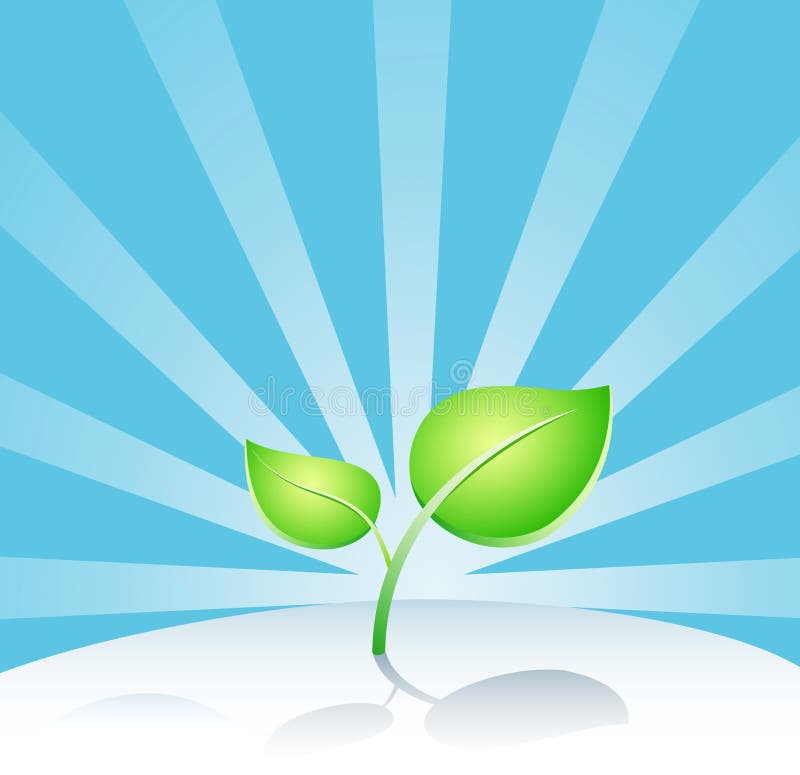 Sprout. Vector Stock Photography - Image: 14311792