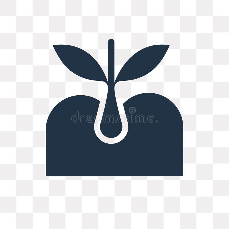 Sprout Dirt Transparent Background Stock Illustrations – 243 Sprout ...