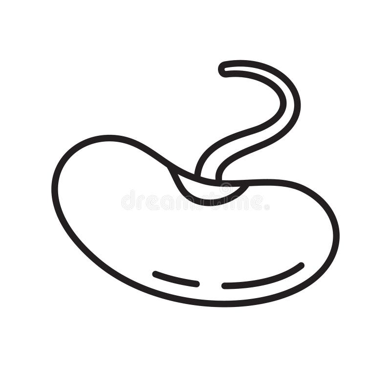 Bean Icon. Thin Line Art Logo of Bean and Soy Products. Black Simple ... Bean Icon. Thin Line Art Logo of Bean and Soy Products. Black Simple ...