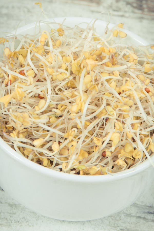 Sprouted Broccoli Seeds. Healthy Lifestyle and Nutrition Stock Photo ...