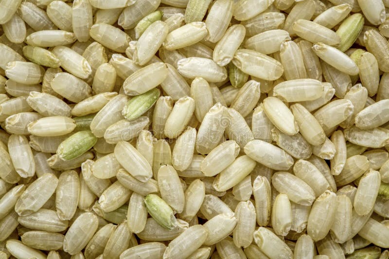 Sprouted brown rice stock image. Image of sprouted, cereal - 53353823