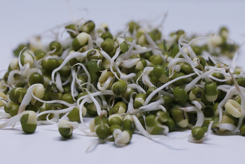 541 Sprouted Green Gram Stock Photos - Free & Royalty-Free Stock Photos ...