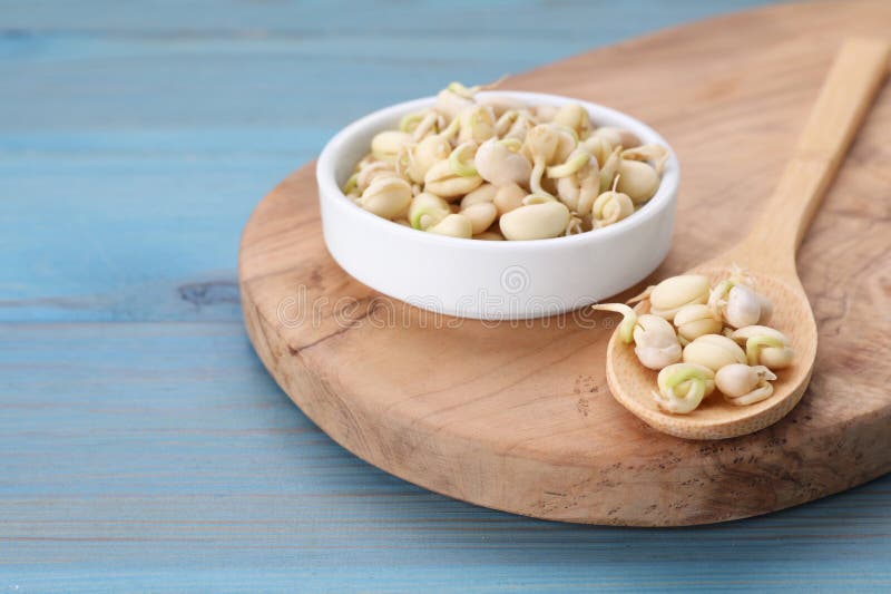 Sprouted Kidney Beans on Light Blue Wooden Table, Closeup. Space for ...