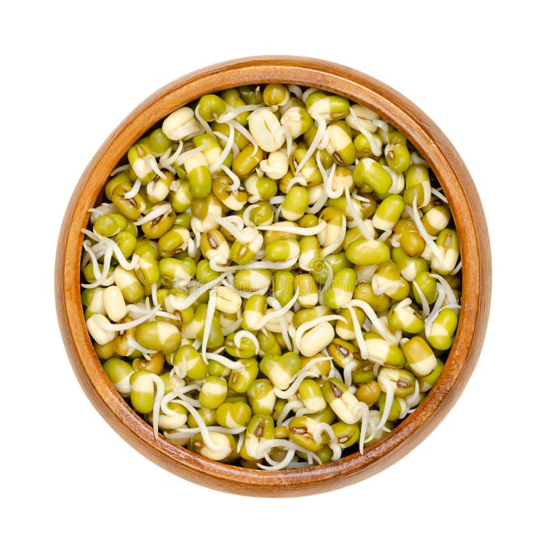 Sprouted Mung Beans, Mung Bean Sprouts in a Wooden Bowl, from Above ...