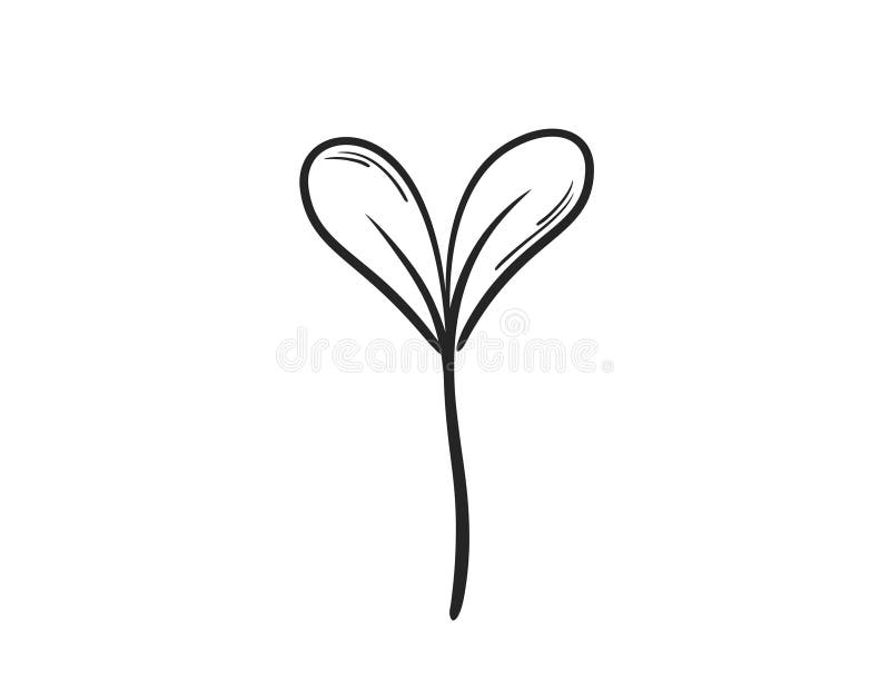Sprouted Plant Line Illustration. Seedling, Planting and Spring Design ...
