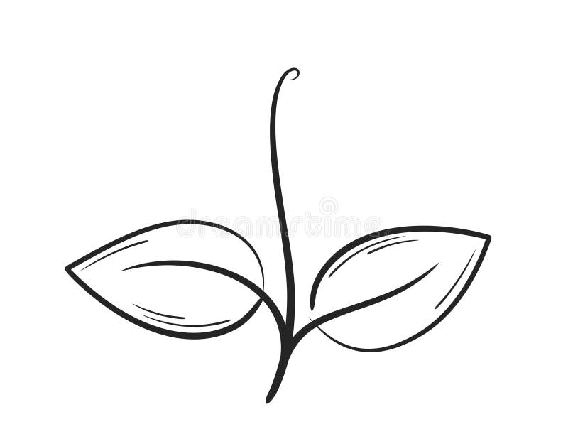 Sprouted Plant Line Illustration. Spring, Planting and Nature Design ...
