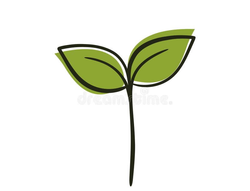 Sprouted Plant with Two Leaves. Seedling, Planting and Spring Design ...