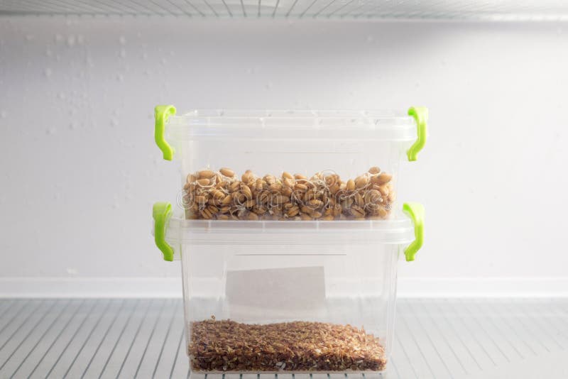 135 Seeds Refrigerator Stock Photos - Free & Royalty-Free Stock Photos ...