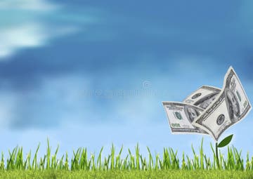 Sprouting money stock photo. Image of banknote, global - 12146860