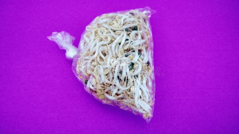 Sprouting is the Natural Process by Which Seeds or Spores Germinate and ...