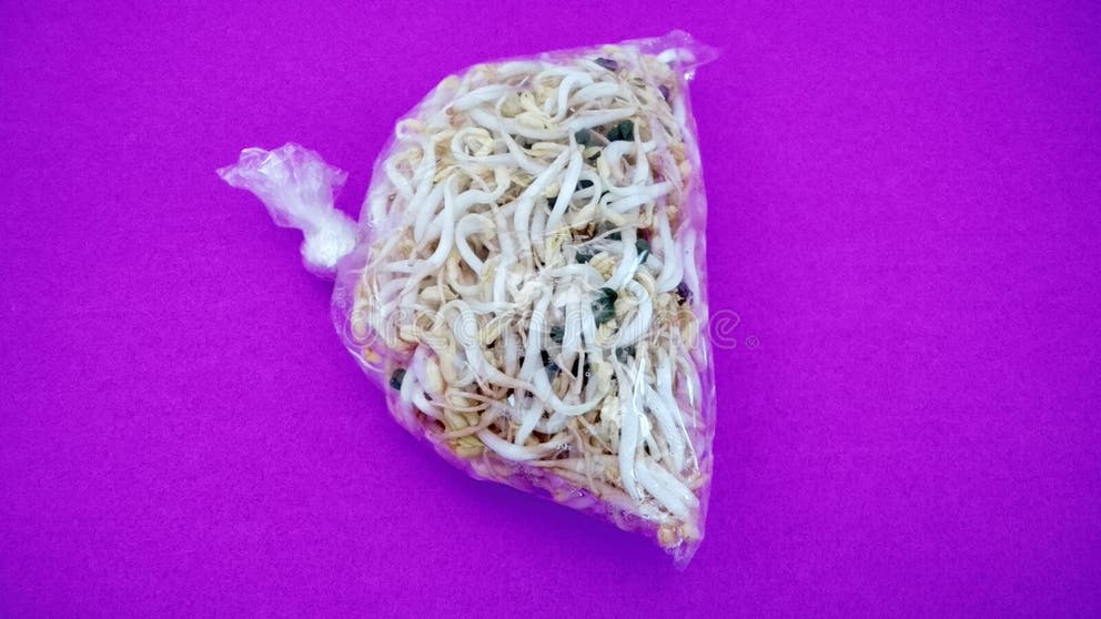 Sprouting is the Natural Process by Which Seeds or Spores Germinate and ...