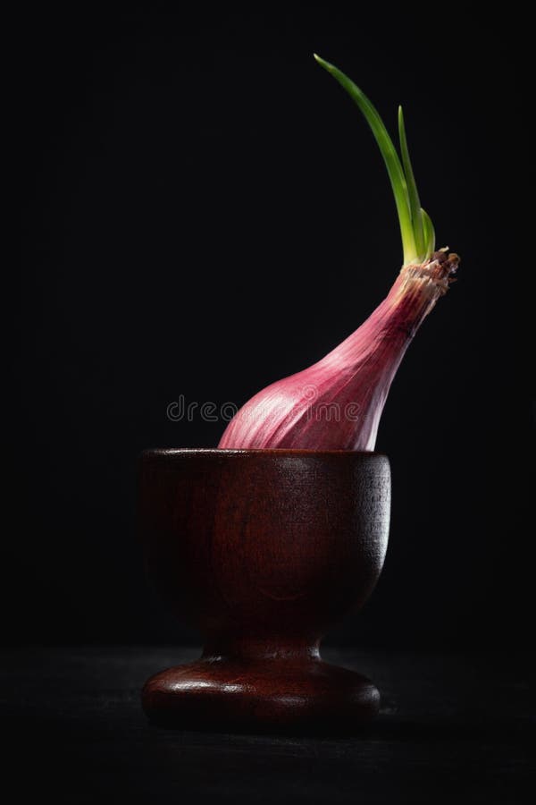 Sprouting Red Onion Inside Wooden Container Still Life Stock Photo ...