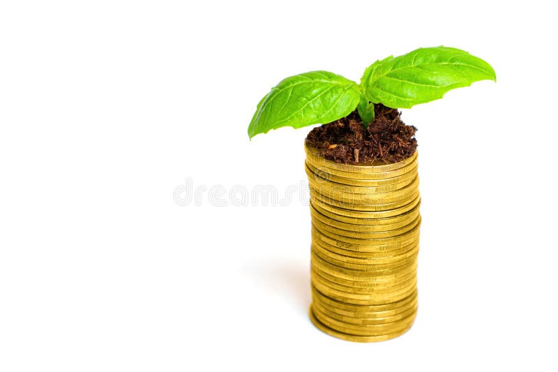 Sprouting Seedling on a Coins Stack Stock Photo - Image of savings ...