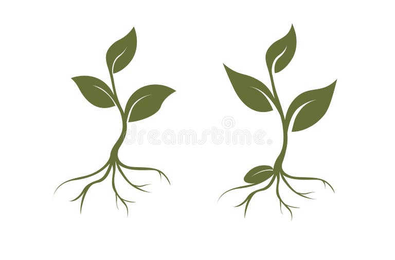 Roots Sprouts Logo Stock Illustrations – 36 Roots Sprouts Logo Stock ...