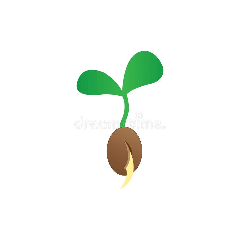 Sprouts Icon Logo Vector Design Stock Vector - Illustration of food ...