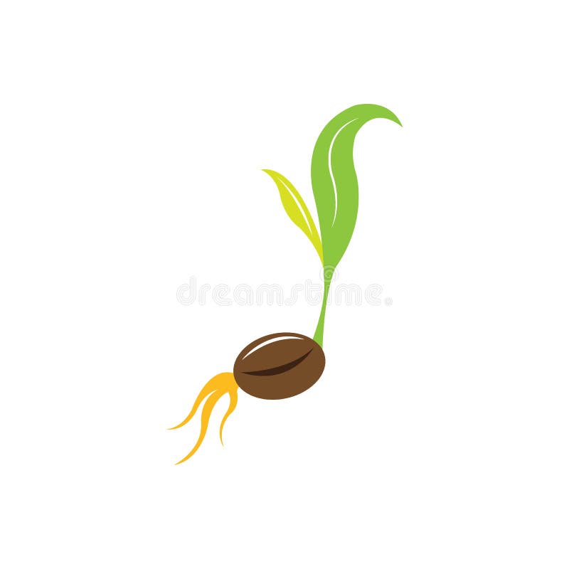 Sprouts Icon Logo Vector Design Stock Vector - Illustration of growth ...