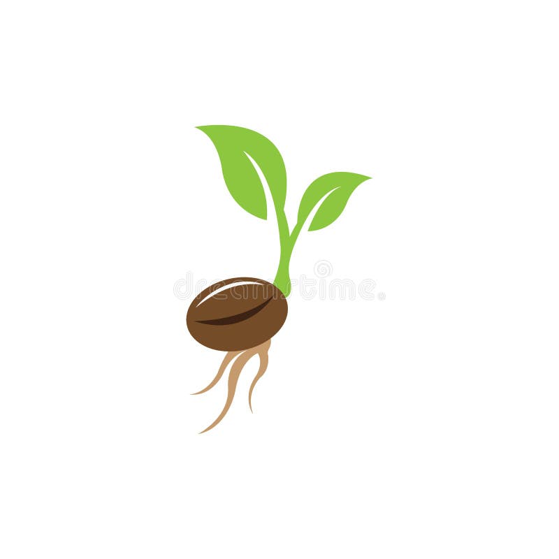 Sprouts Icon Logo Vector Design Stock Vector - Illustration of health ...