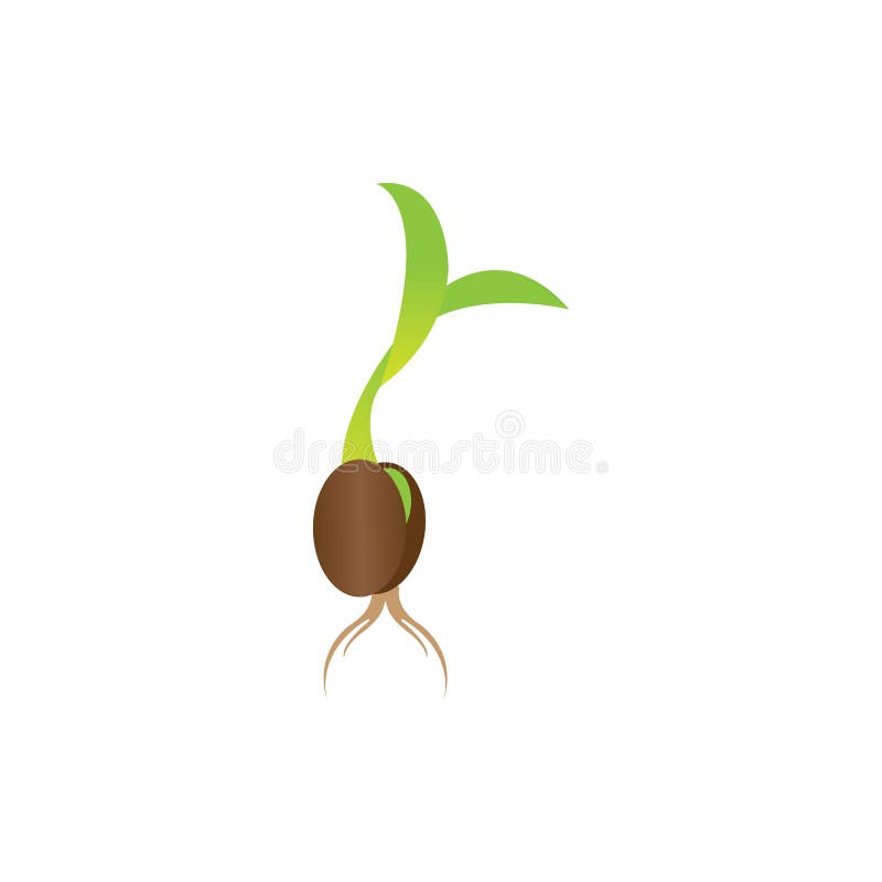 Sprouts Icon Logo Vector Design Stock Vector - Illustration of ...
