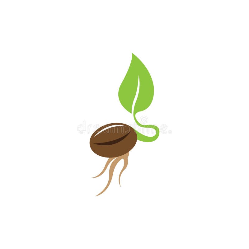 Sprouts Icon Logo Vector Design Stock Vector - Illustration of greenery ...