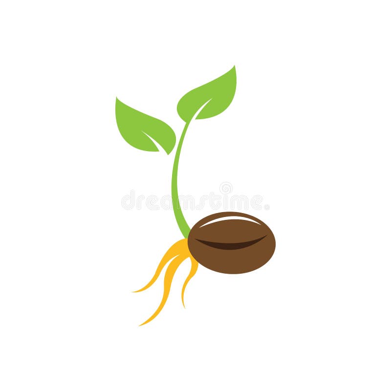 Sprouts Icon Logo Vector Design Stock Vector - Illustration of ...