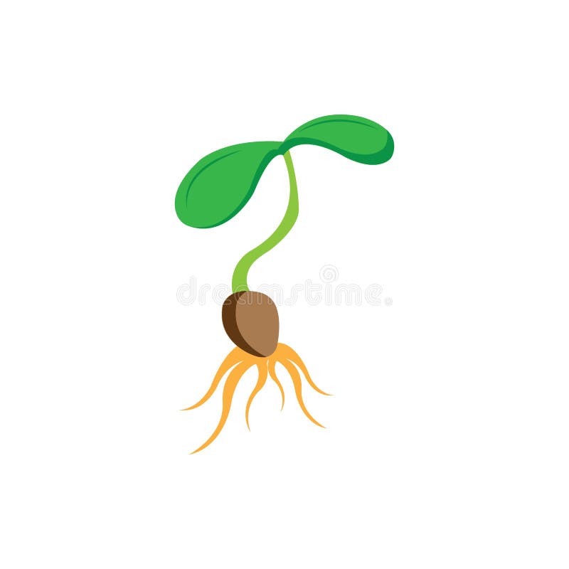 Sprouts Icon Logo Vector Design Stock Vector - Illustration of isolated ...