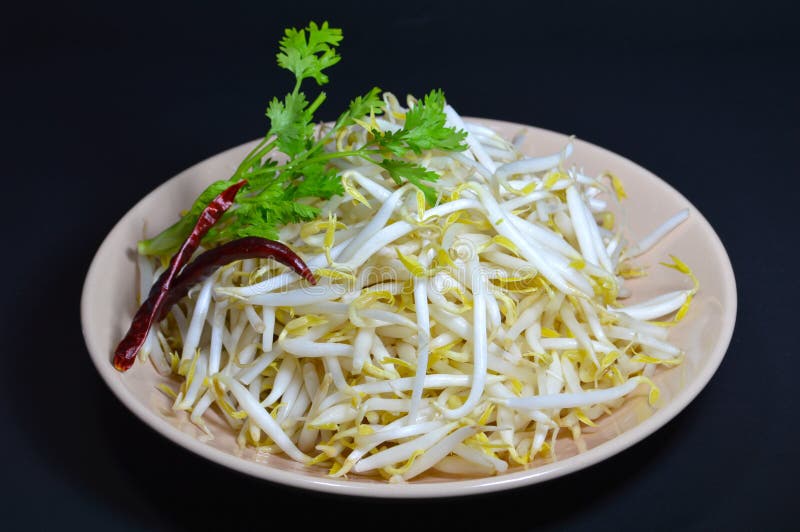 Sprouts stock image. Image of asian, cuisine, kitchen - 39592823