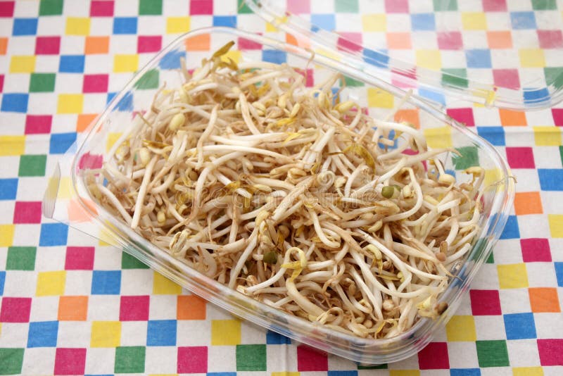 Sprouts stock image. Image of vegetarian, food, beans - 94521017