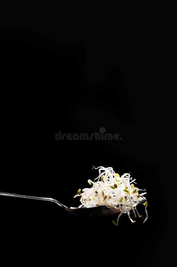 Sprouts tasting stock image. Image of high, door, domestic - 52738653