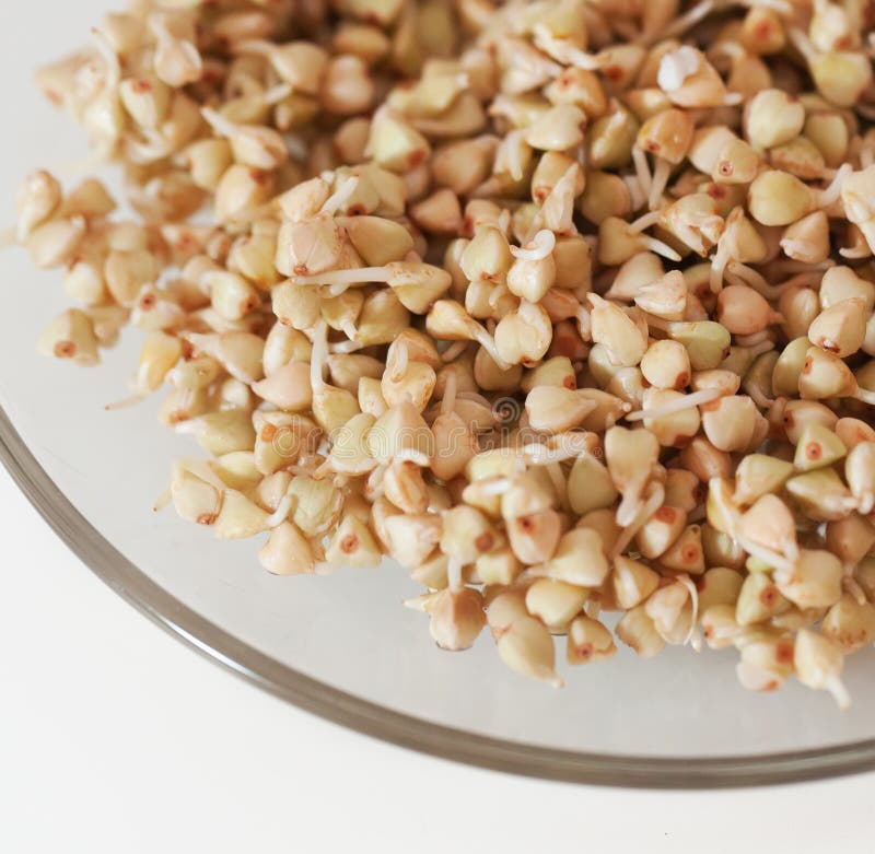 Sprouts and a Very Useful Buckwheat Stock Image - Image of macrobiotic ...